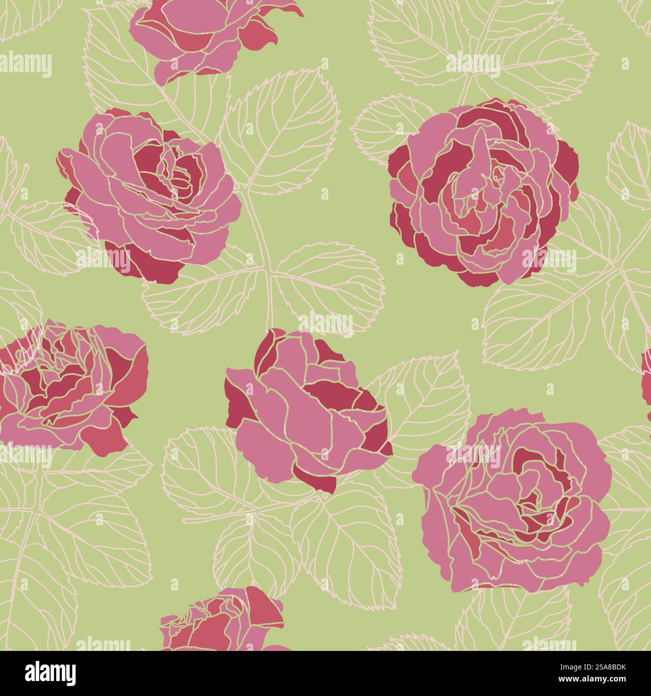 Pink roses with detailed outlines on a light green background hi-res ...