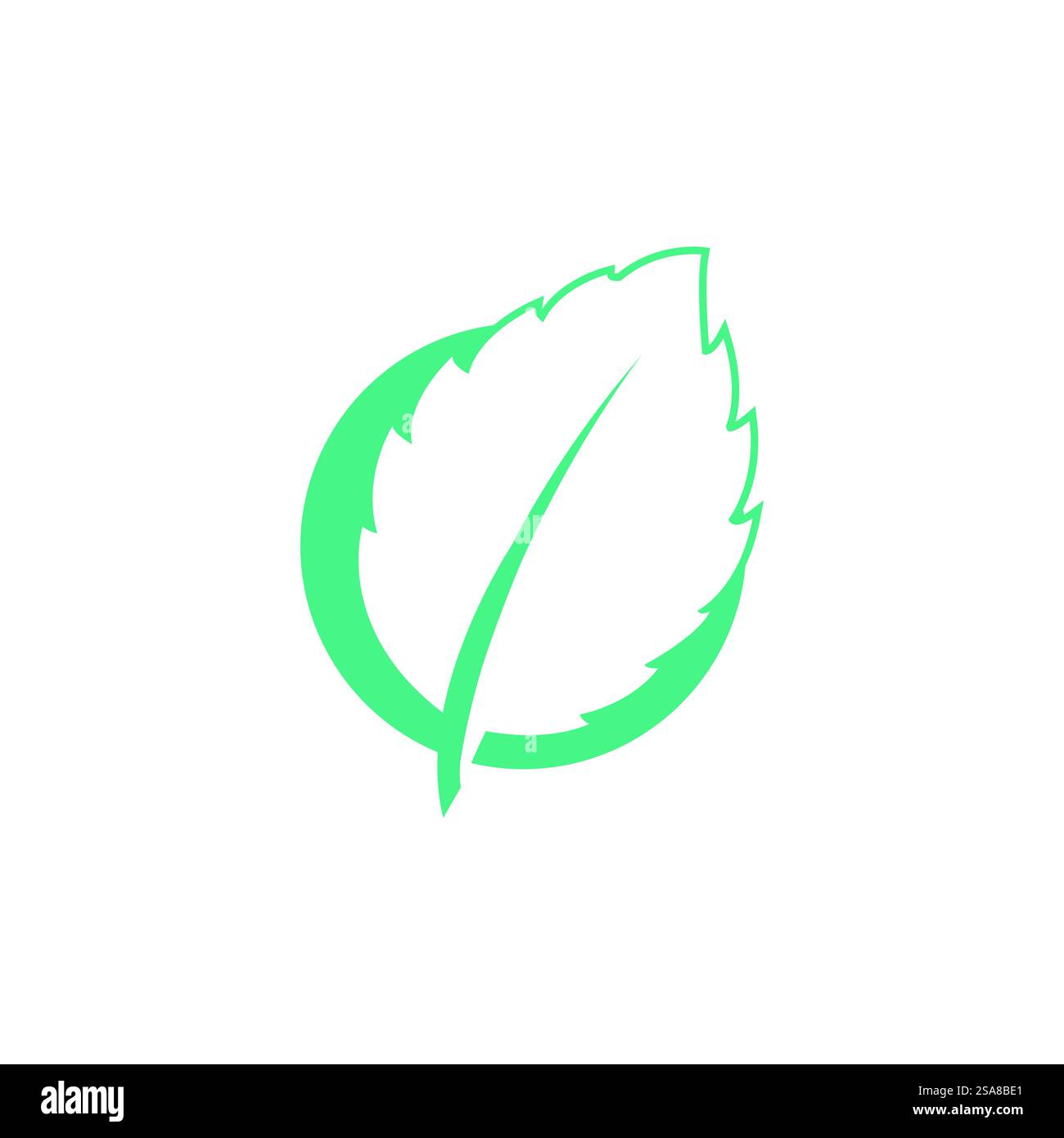 Natural leaf mint logo vector template symbol design Stock Vector Image ...