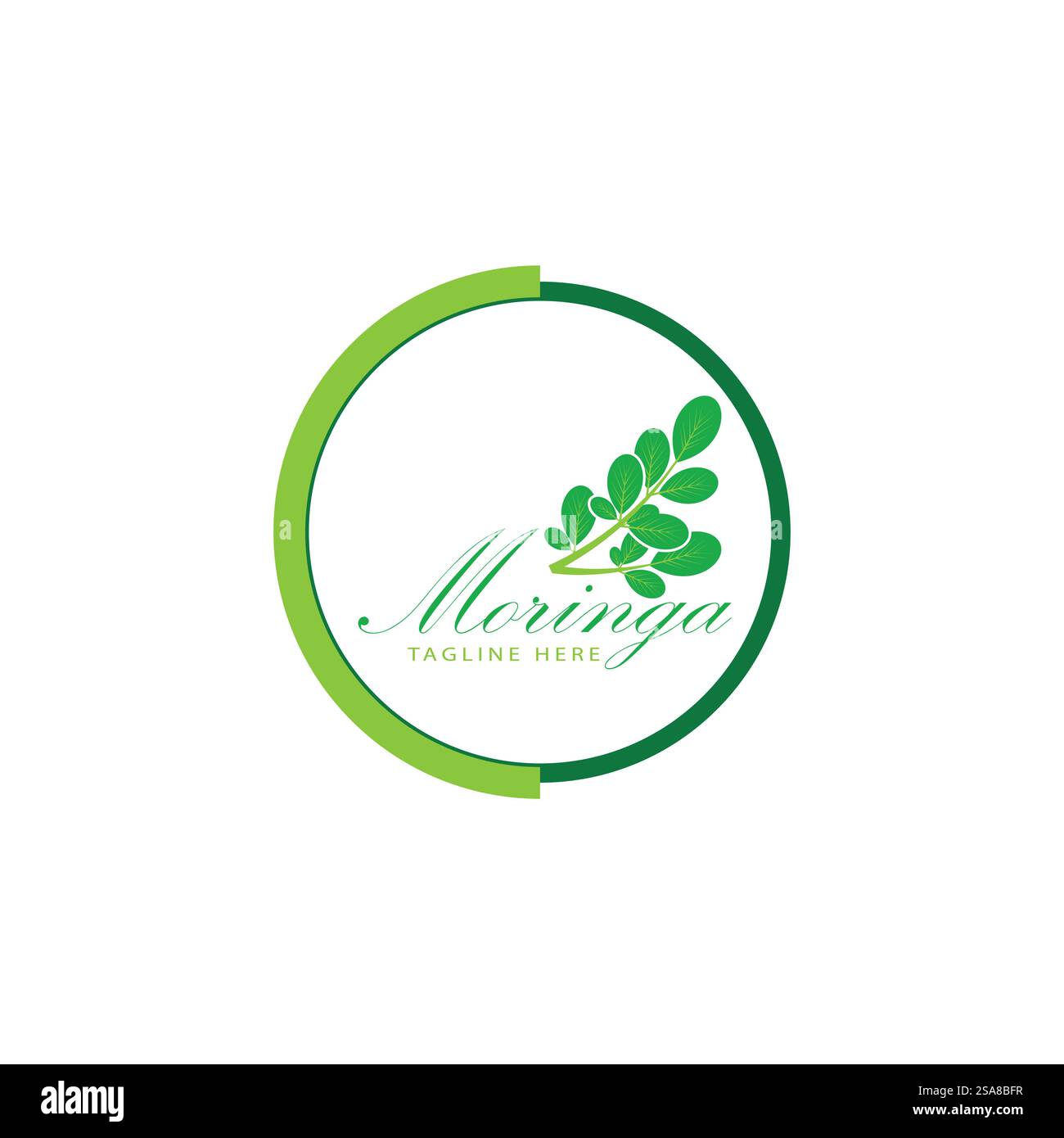Moringa logo vector template symbol nature Stock Vector Image & Art - Alamy