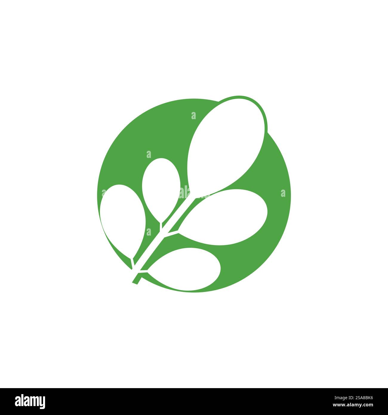 Moringa logo vector template symbol nature Stock Vector Image & Art - Alamy