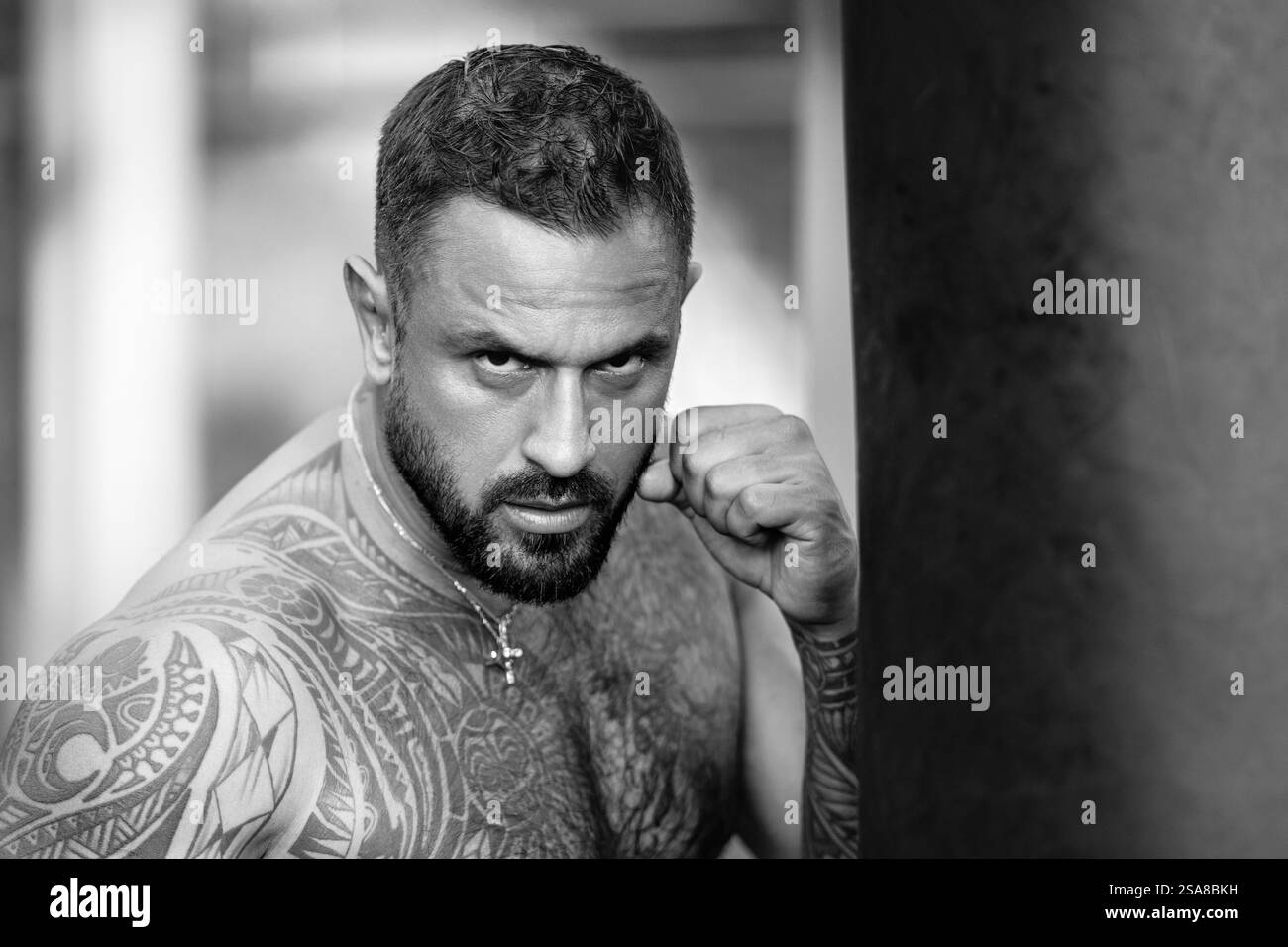 Close up Portrait of muscular boxer. Man boxer face close up. Fists ...