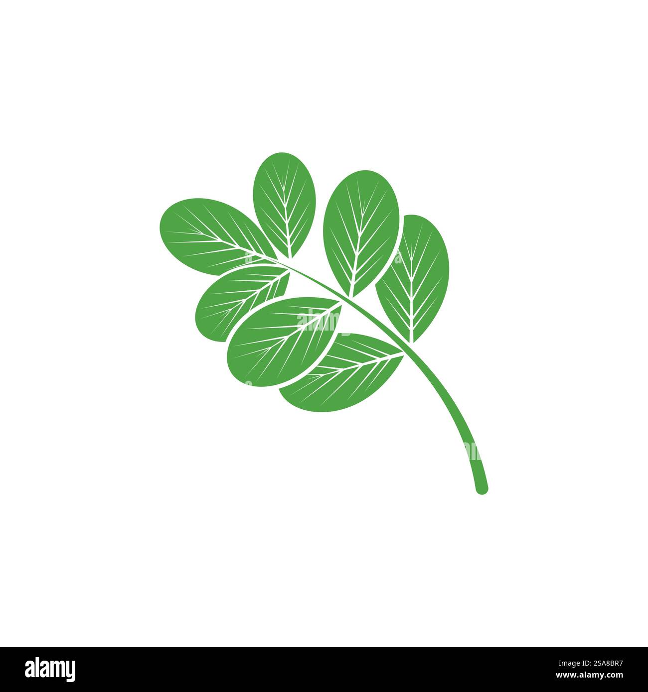Moringa logo vector template symbol nature Stock Vector Image & Art - Alamy