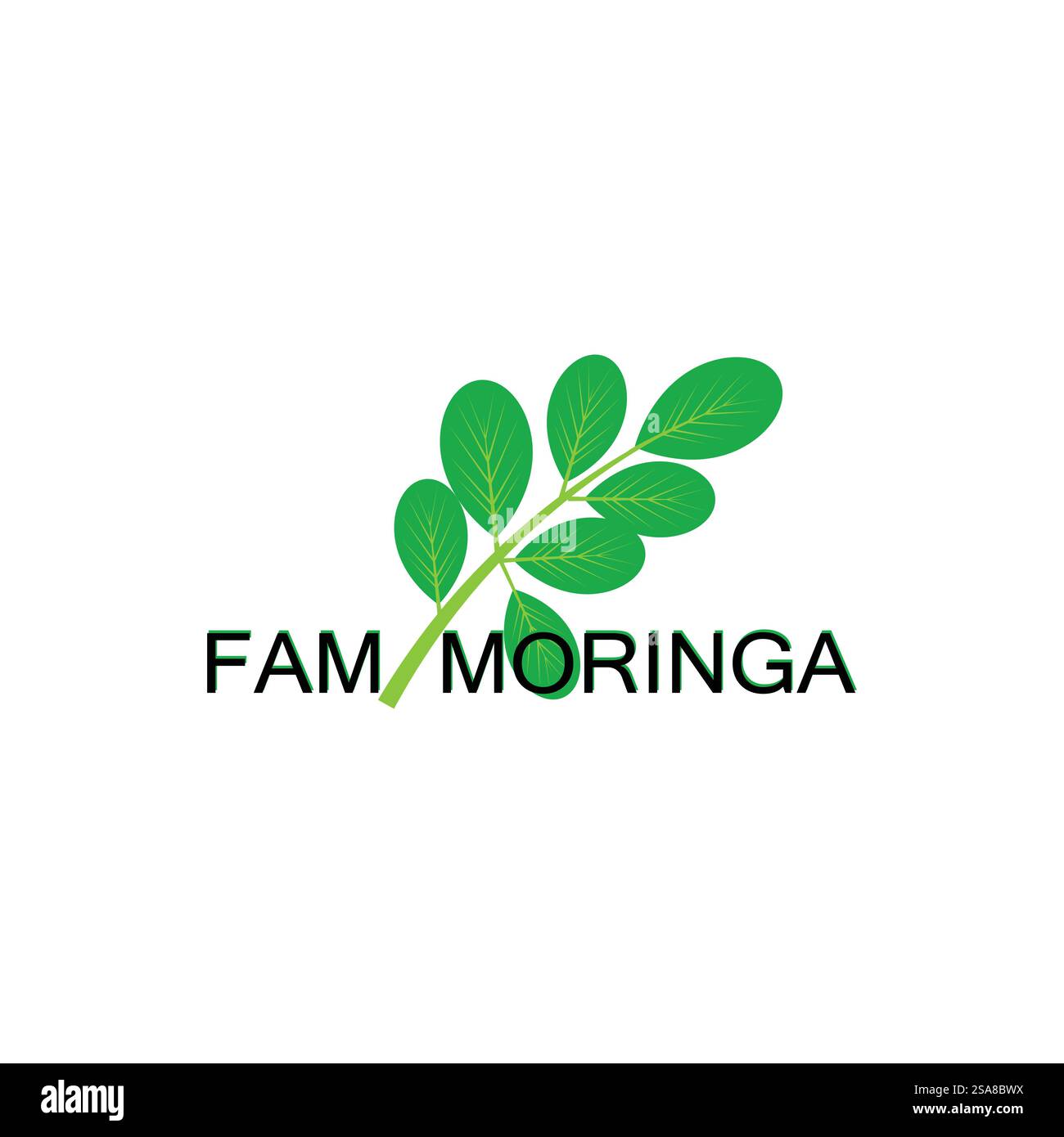 Moringa logo vector template symbol nature Stock Vector Image & Art - Alamy