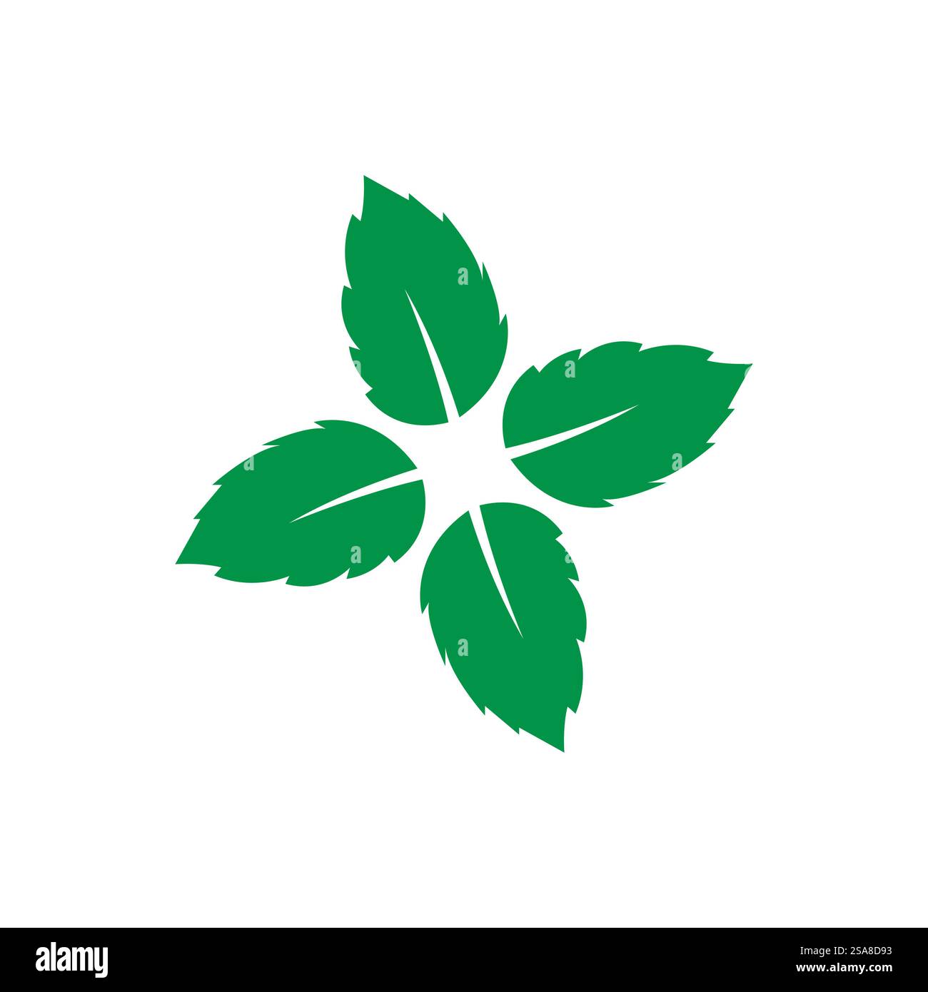 Mint leaf logo vector template symbol design Stock Vector Image & Art ...