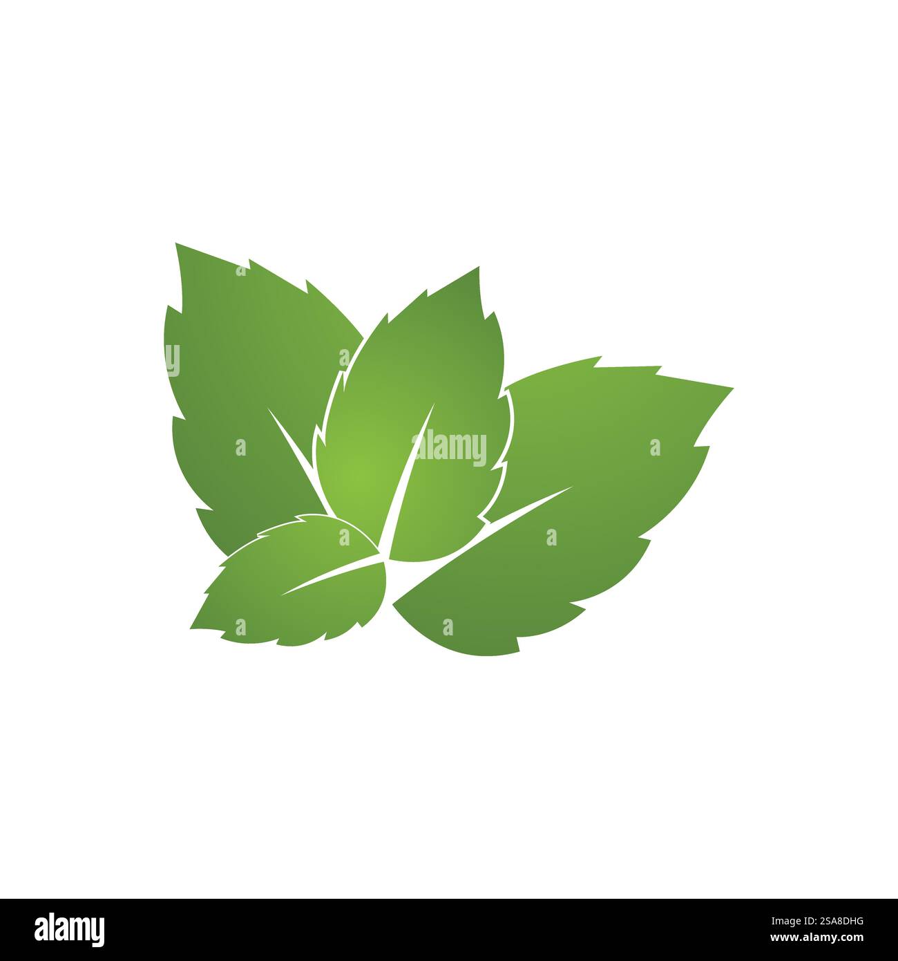 Mint leaf logo vector template symbol design Stock Vector Image & Art ...