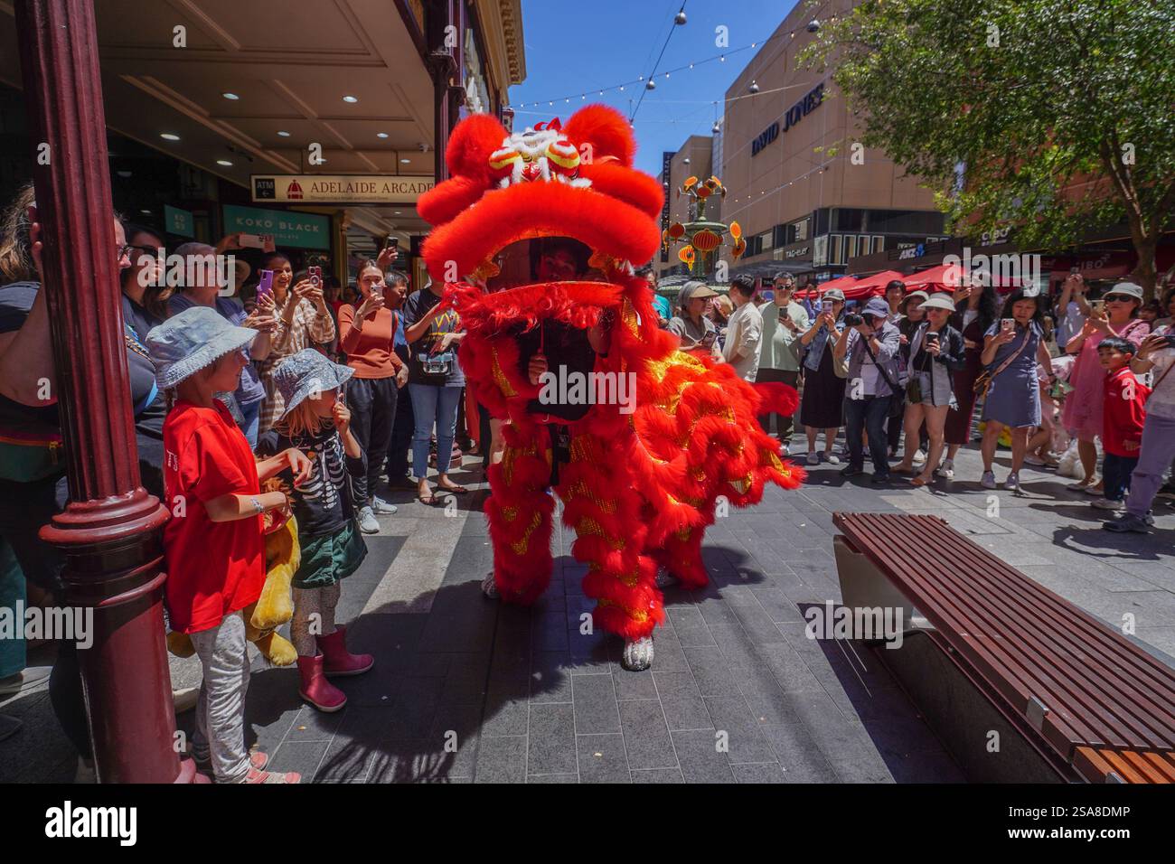 Adelaide, Australia 29 January 2025. Crowds are entertained by lion ...