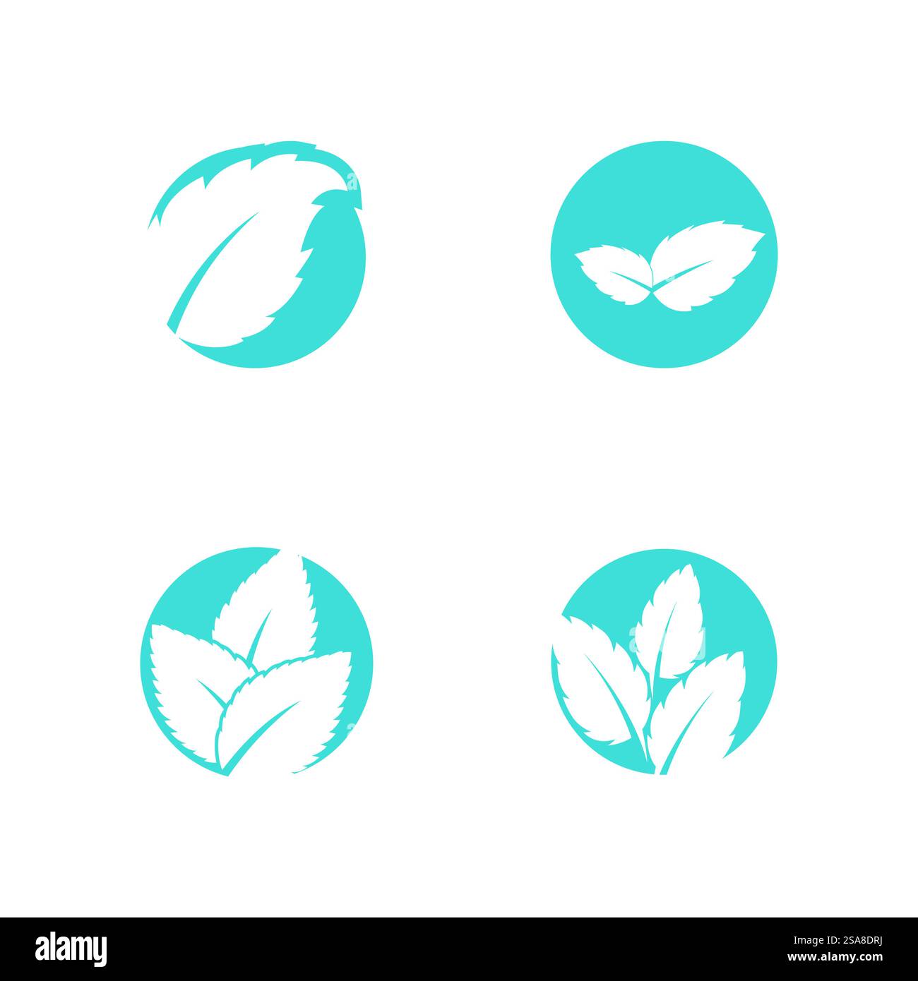 Mint leaf logo vector template symbol design Stock Vector Image & Art ...