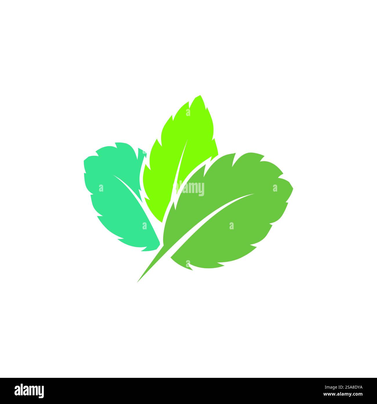Mint leaf logo vector template symbol design Stock Vector Image & Art ...