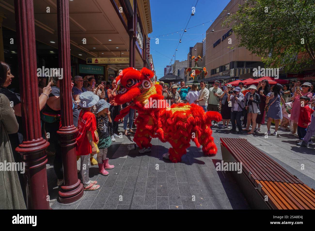 Adelaide, Australia 29 January 2025. Crowds are entertained by lion ...