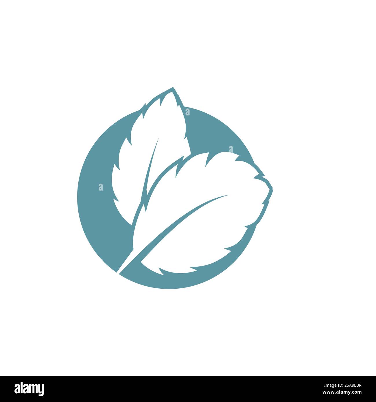 Mint leaf logo vector template symbol design Stock Vector Image & Art ...