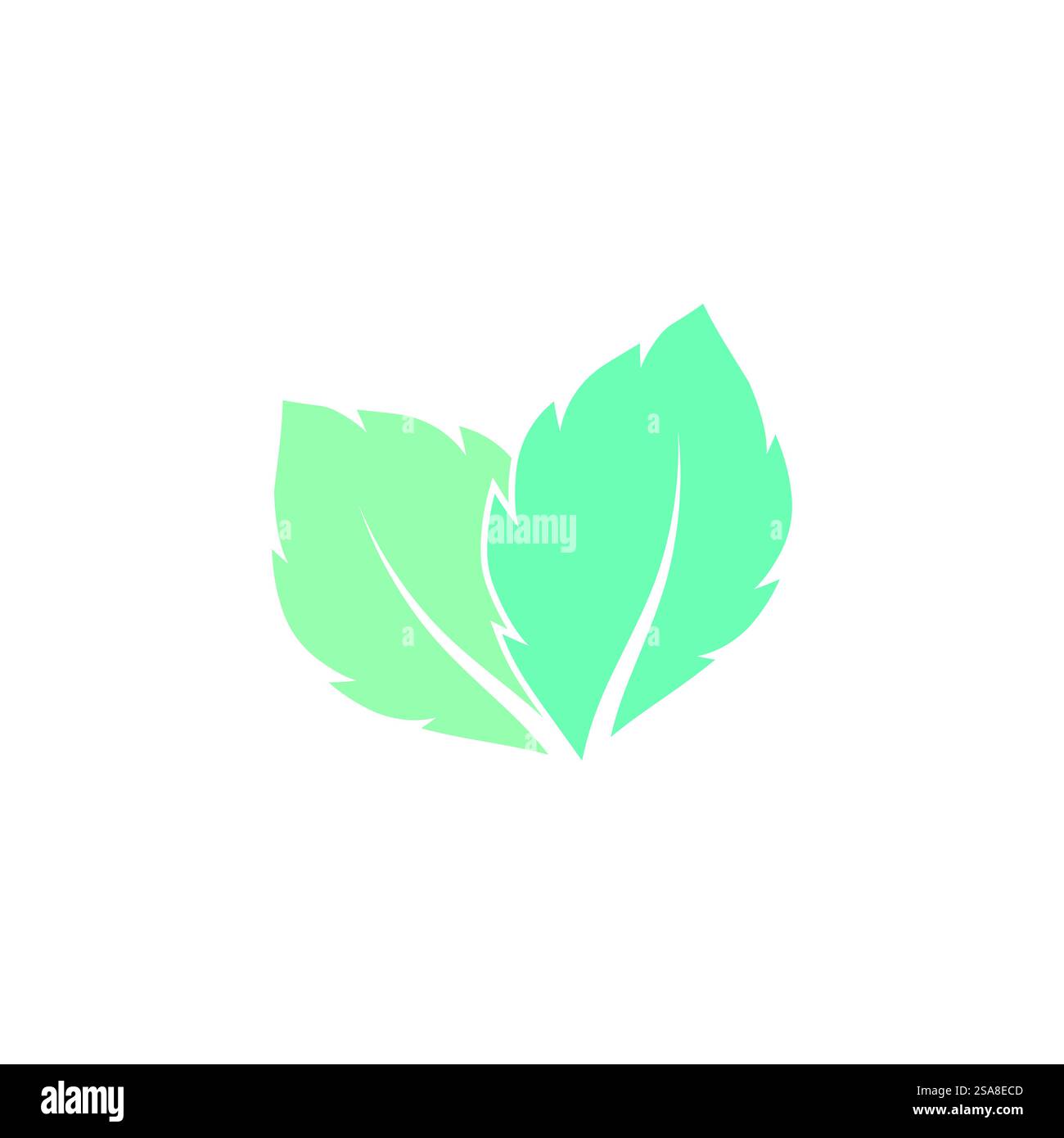Mint leaf logo vector element template and symbol Stock Vector Image ...