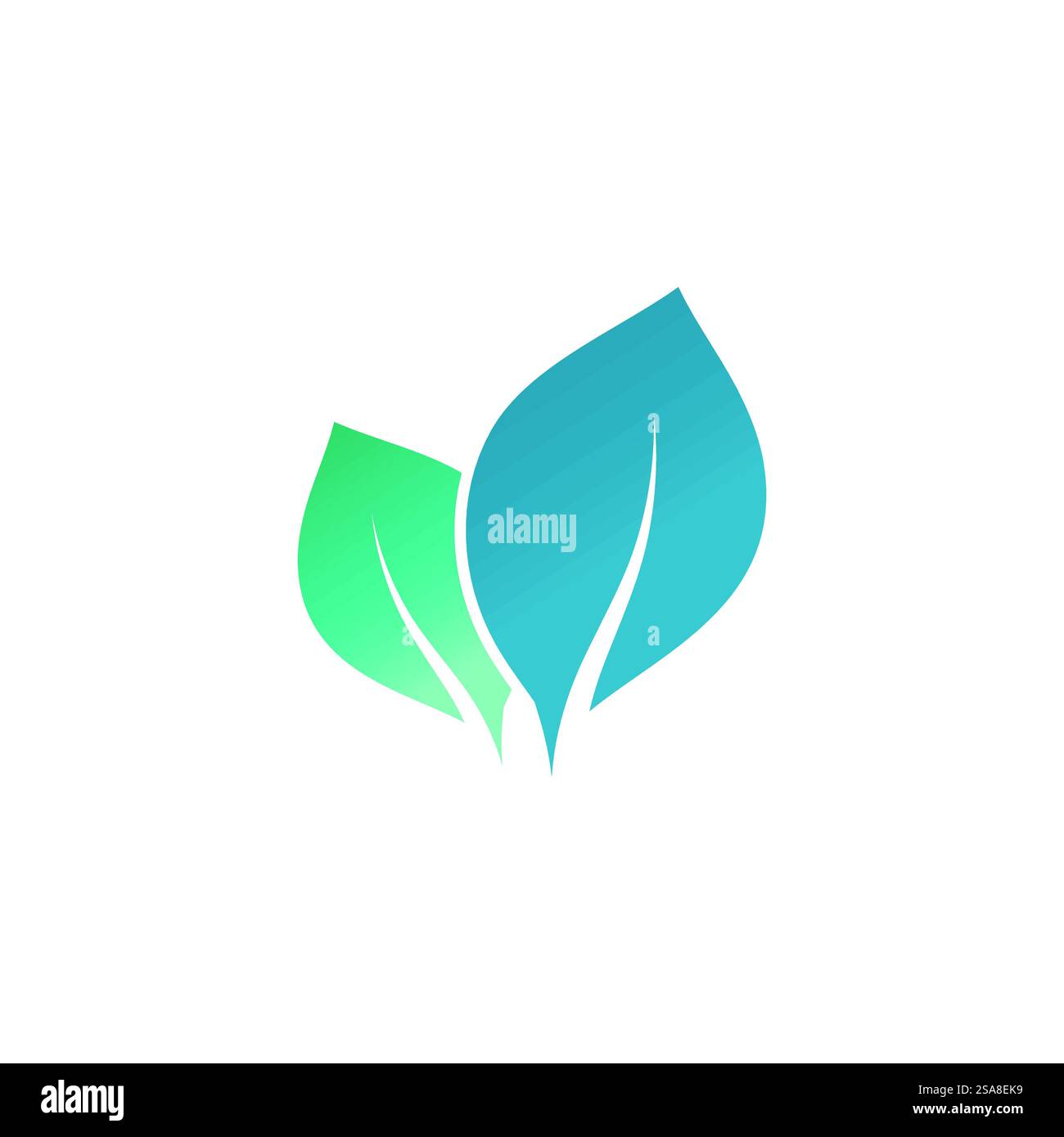 Mint leaf logo vector element template and symbol Stock Vector Image ...