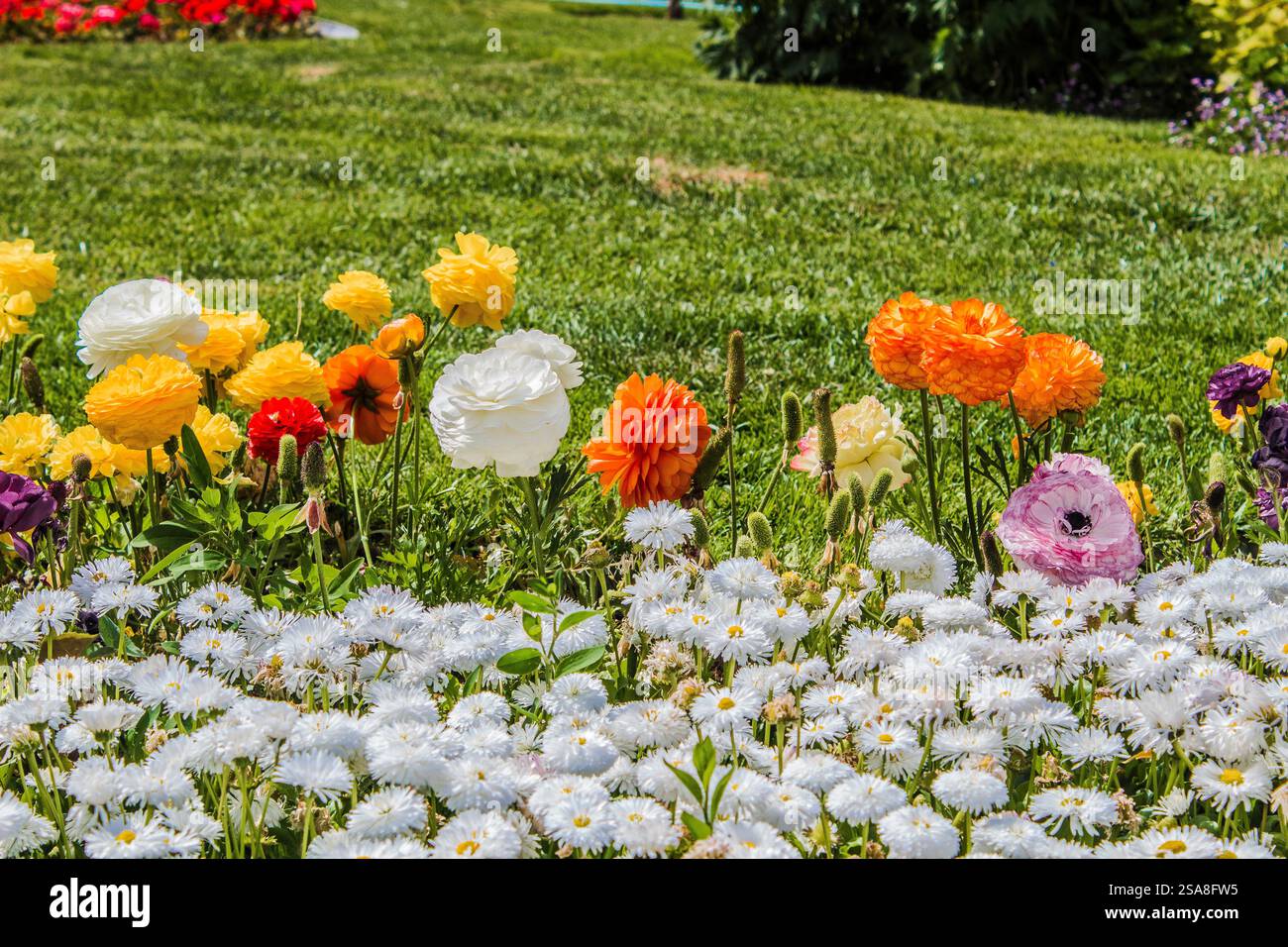 This is flower garden. That is a best place to see each flower from all ...