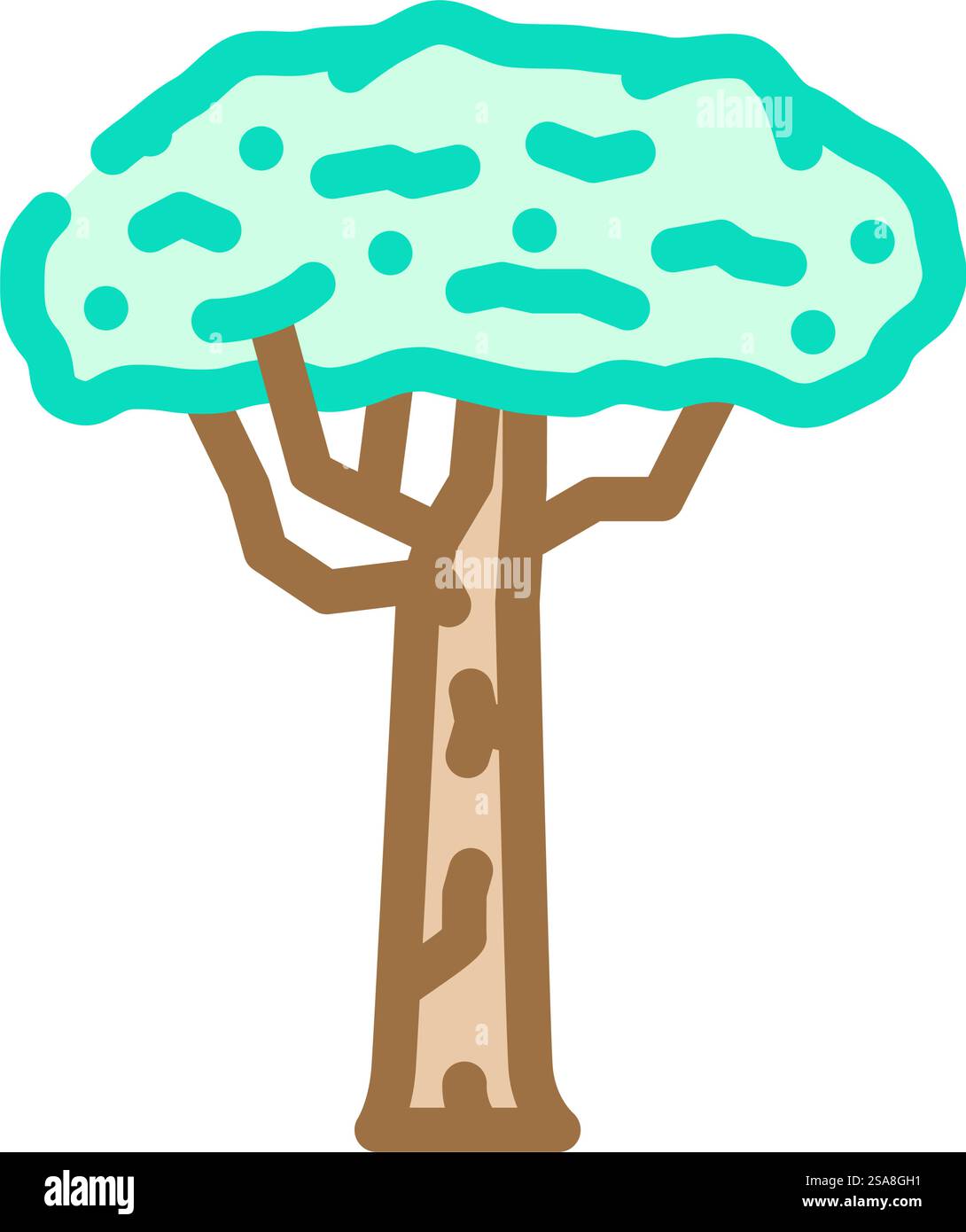 brazil nut tree color icon vector. brazil nut tree sign. isolated ...