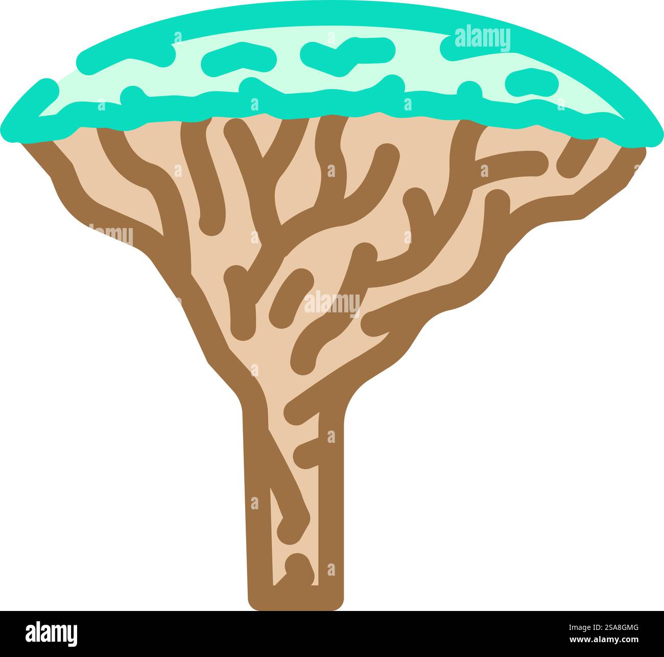 dragon blood tree color icon vector. dragon blood tree sign. isolated ...