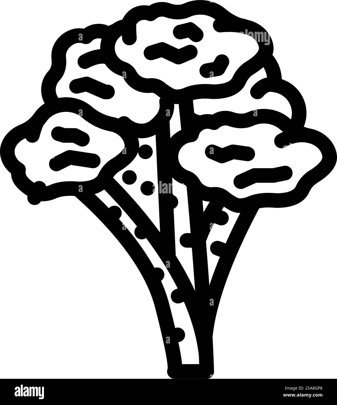 balsa jungle amazon line icon vector. balsa jungle amazon sign ...