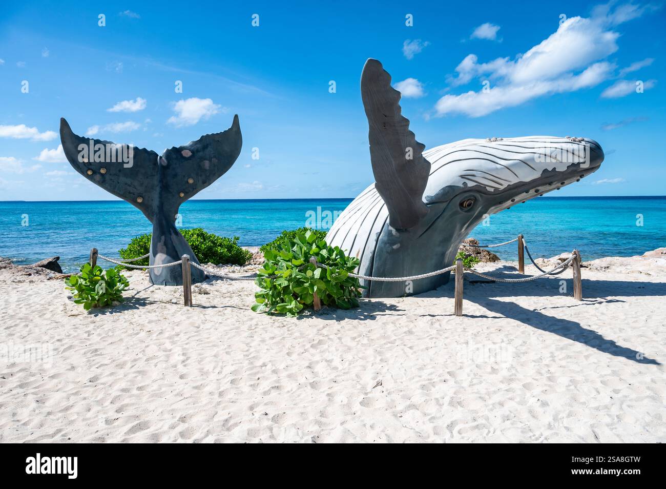Grand Turk, Turks and Caicos - Nov 20, 2024: Whale Statue on the Beach ...