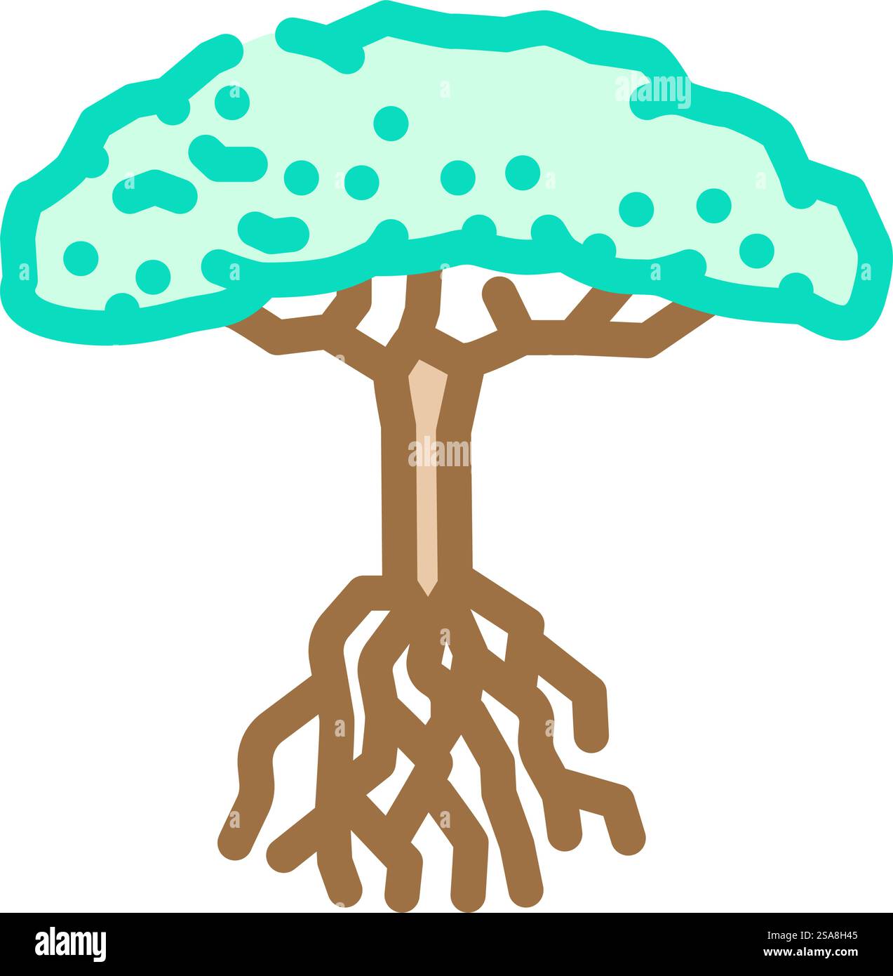 mangrove tree color icon vector. mangrove tree sign. isolated symbol ...
