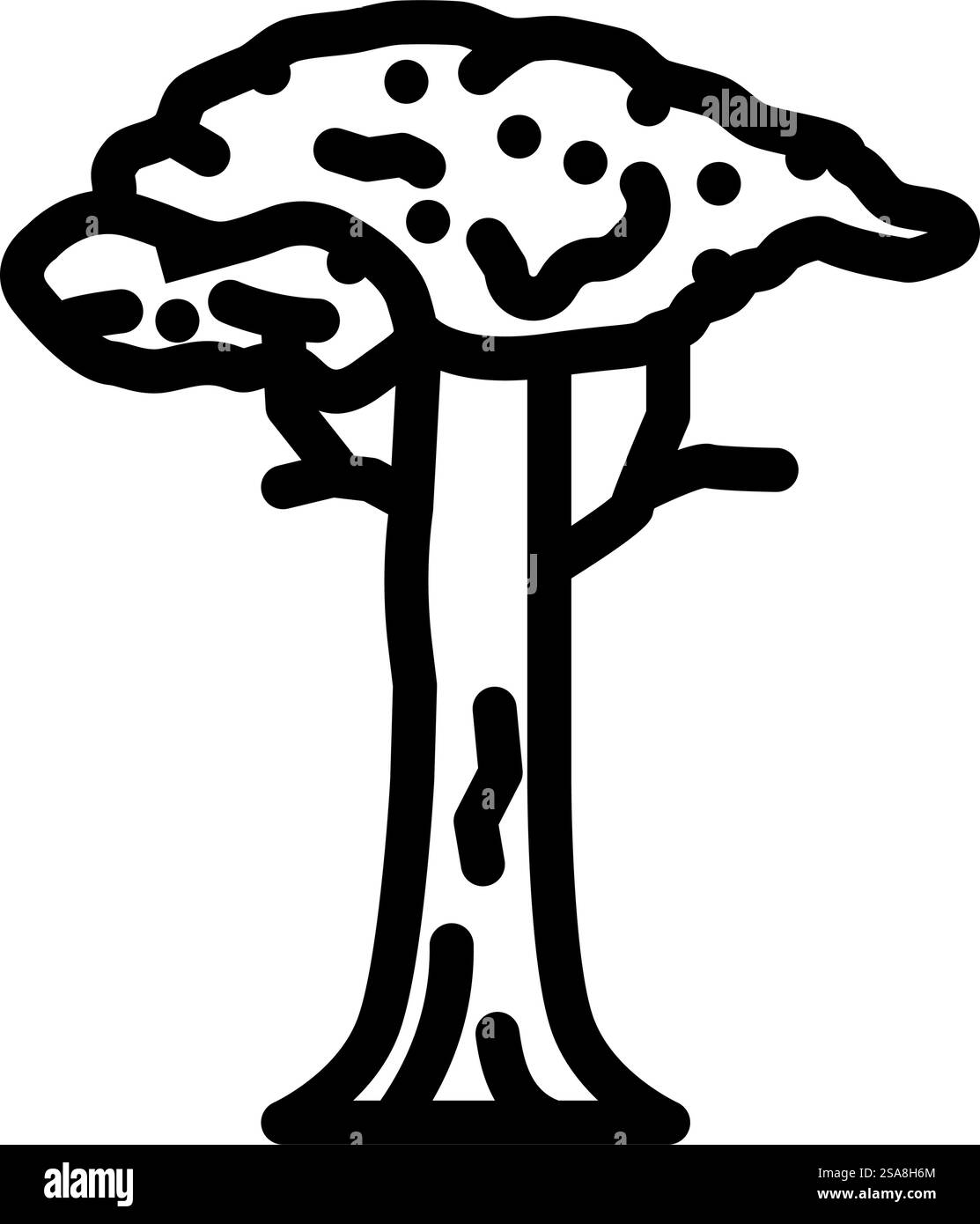 kapok tree jungle amazon line icon vector. kapok tree jungle amazon ...