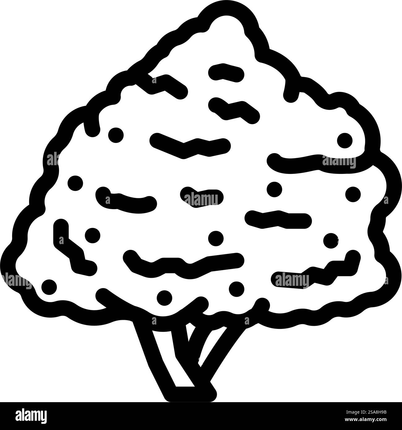 fig tree jungle amazon line icon vector. fig tree jungle amazon sign ...