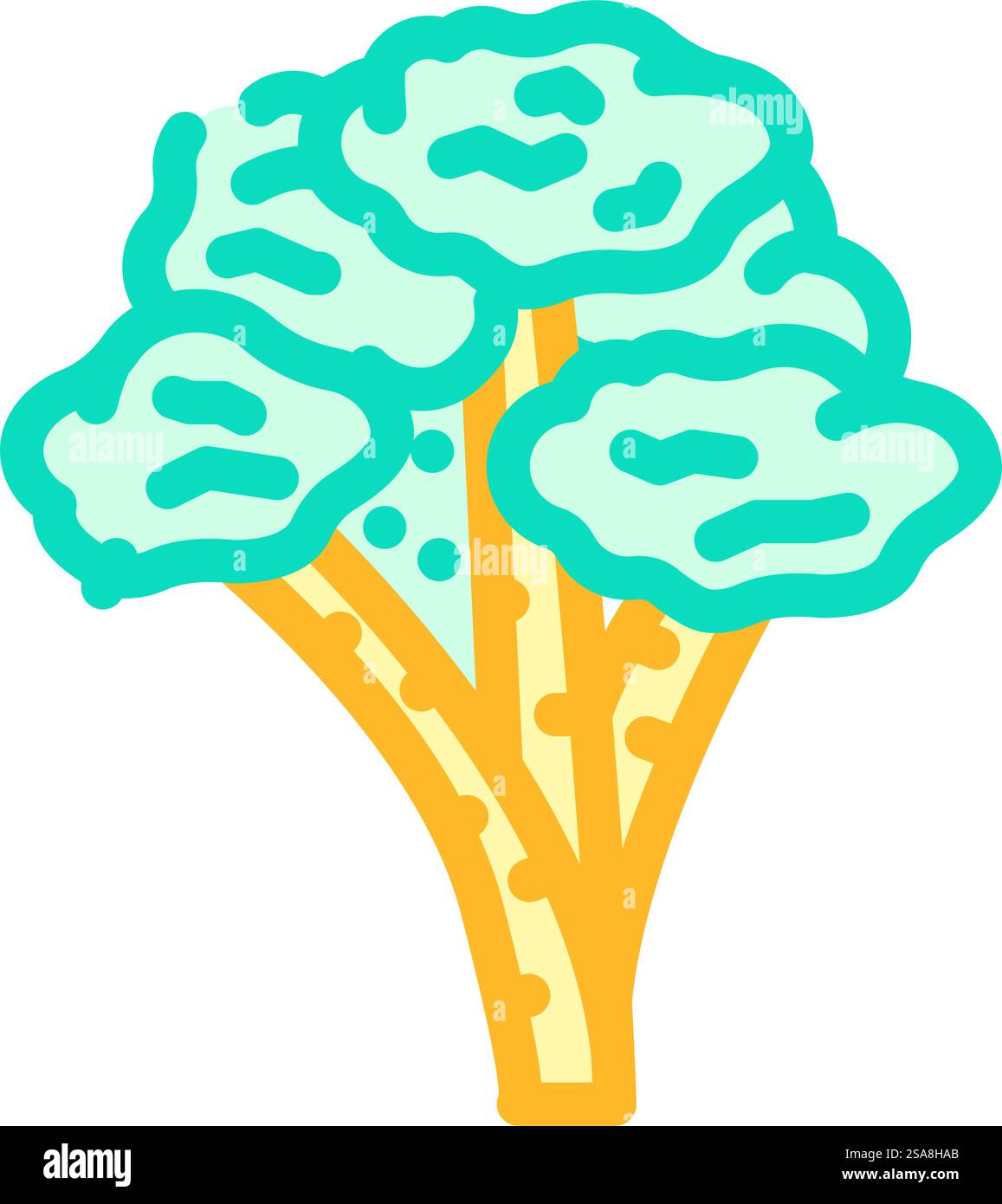 balsa jungle amazon color icon vector. balsa jungle amazon sign ...