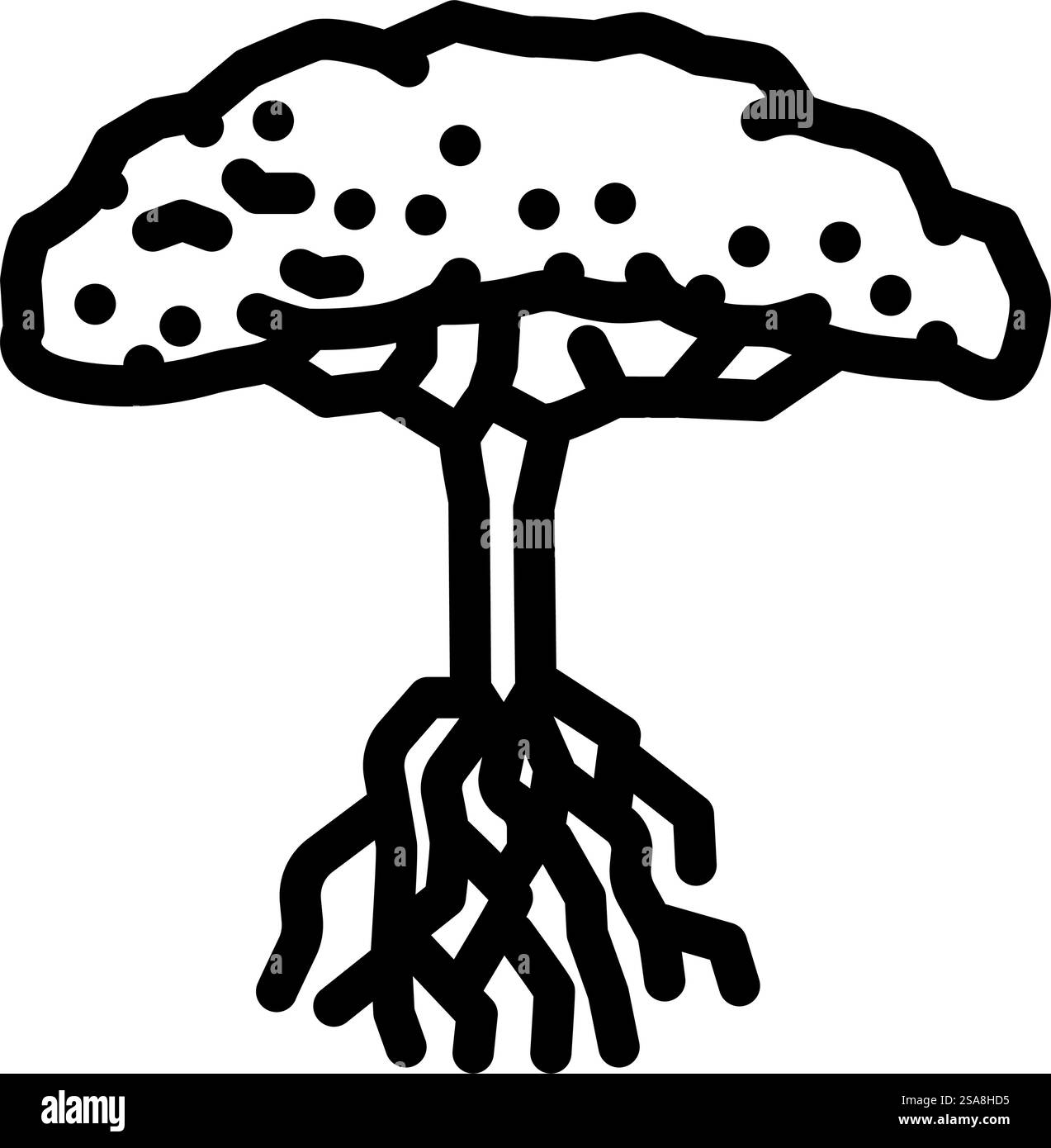 mangrove tree line icon vector. mangrove tree sign. isolated contour ...