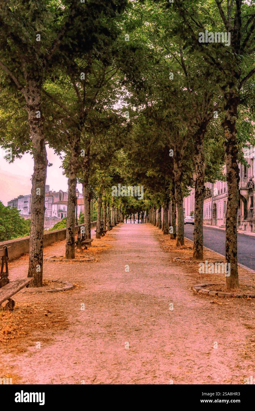 Tranquil garden pathway lined hi-res stock photography and images - Alamy