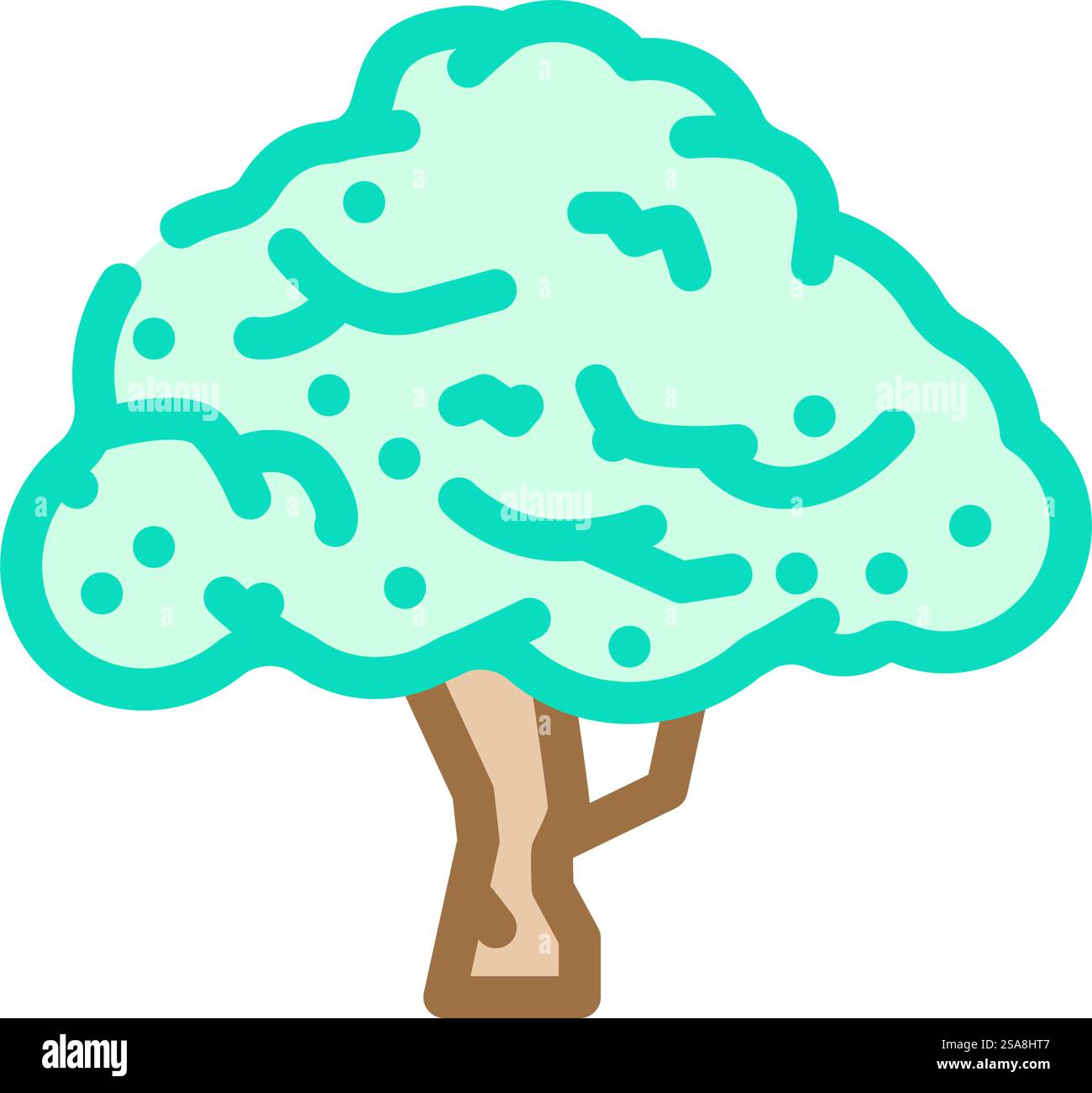 macadamia tree jungle amazon color icon vector. macadamia tree jungle ...