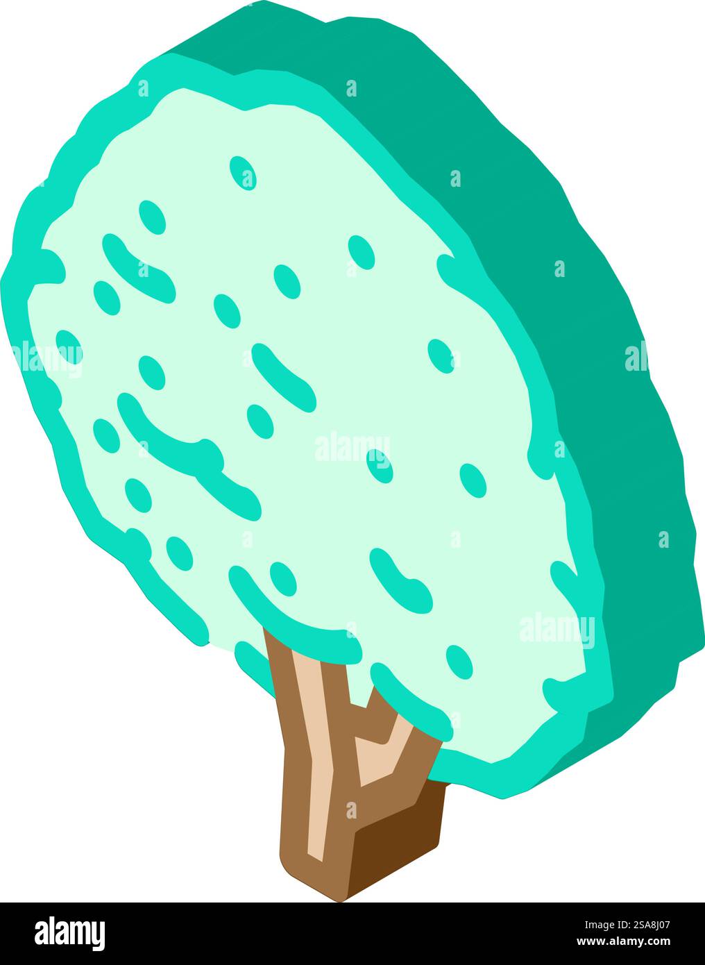 Beautiful neem leaf Stock Vector Images - Alamy