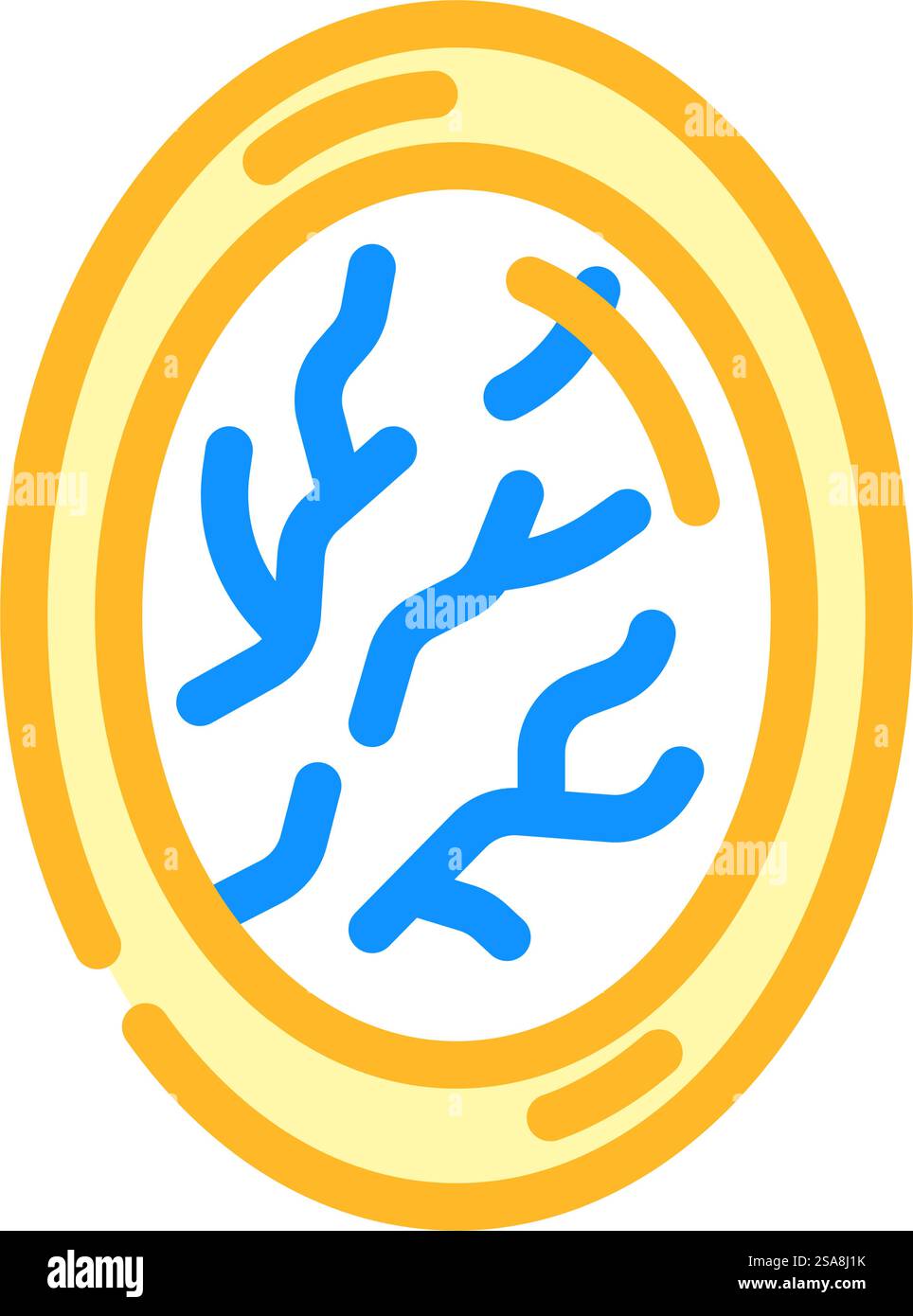 worry stones fidget toy color icon vector. worry stones fidget toy sign ...