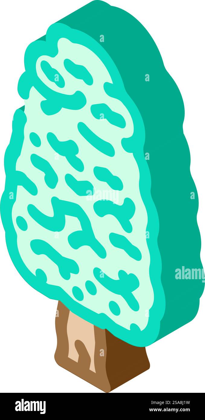 kauri tree jungle amazon isometric icon vector. kauri tree jungle ...