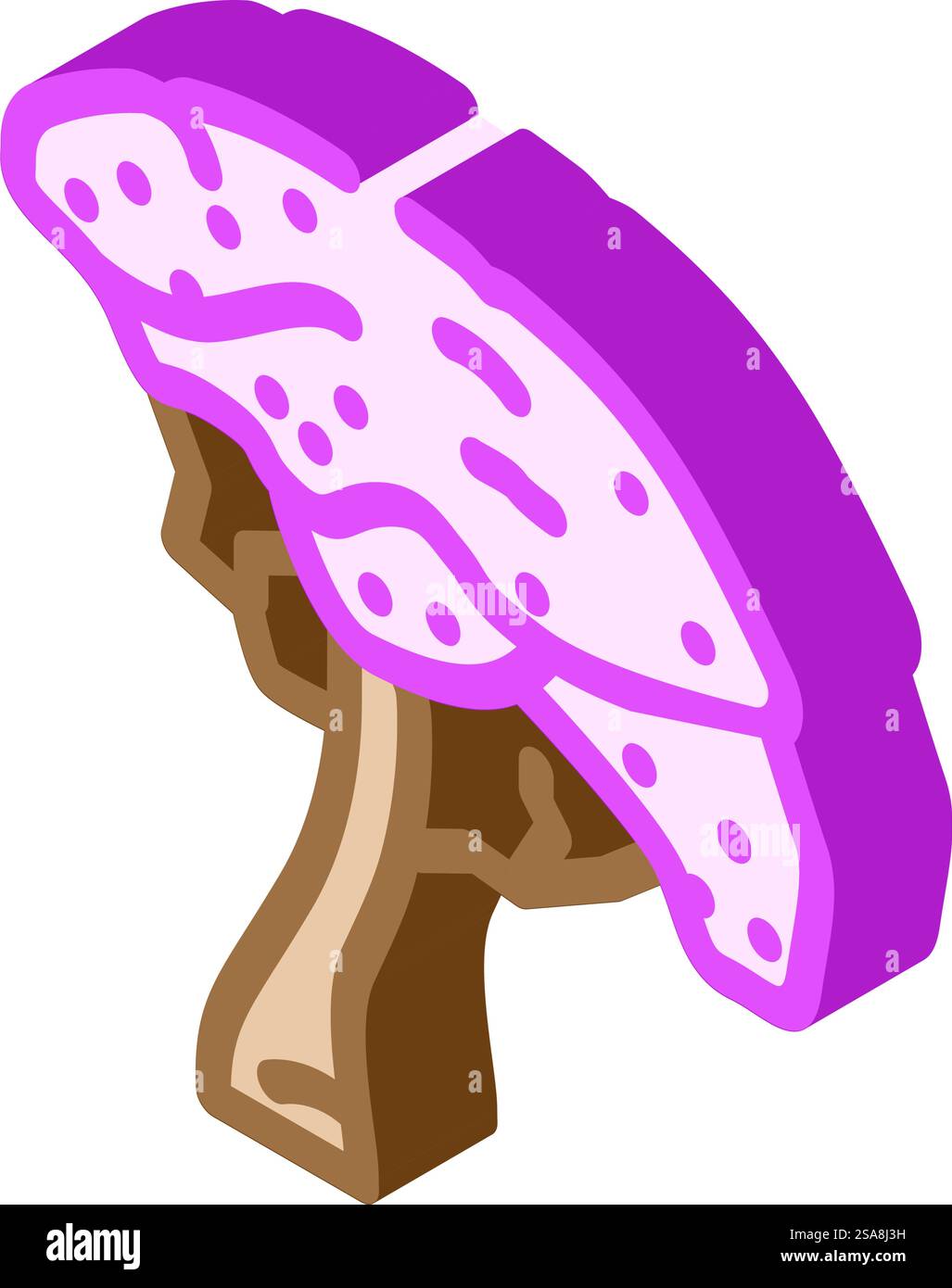 ipe jungle amazon isometric icon vector. ipe jungle amazon sign ...