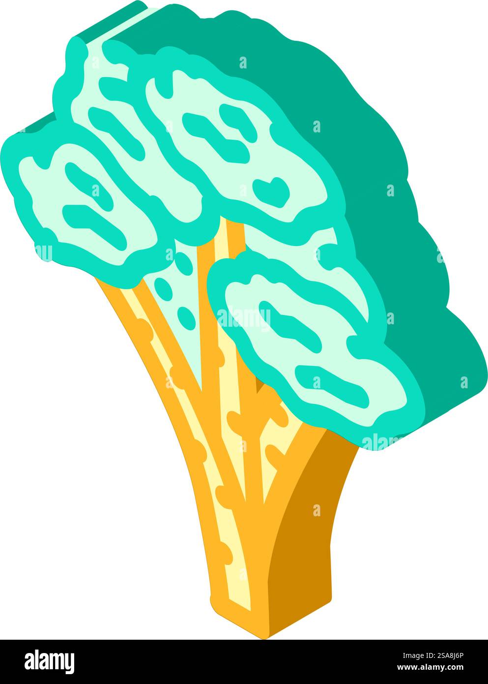 balsa jungle amazon isometric icon vector. balsa jungle amazon sign ...