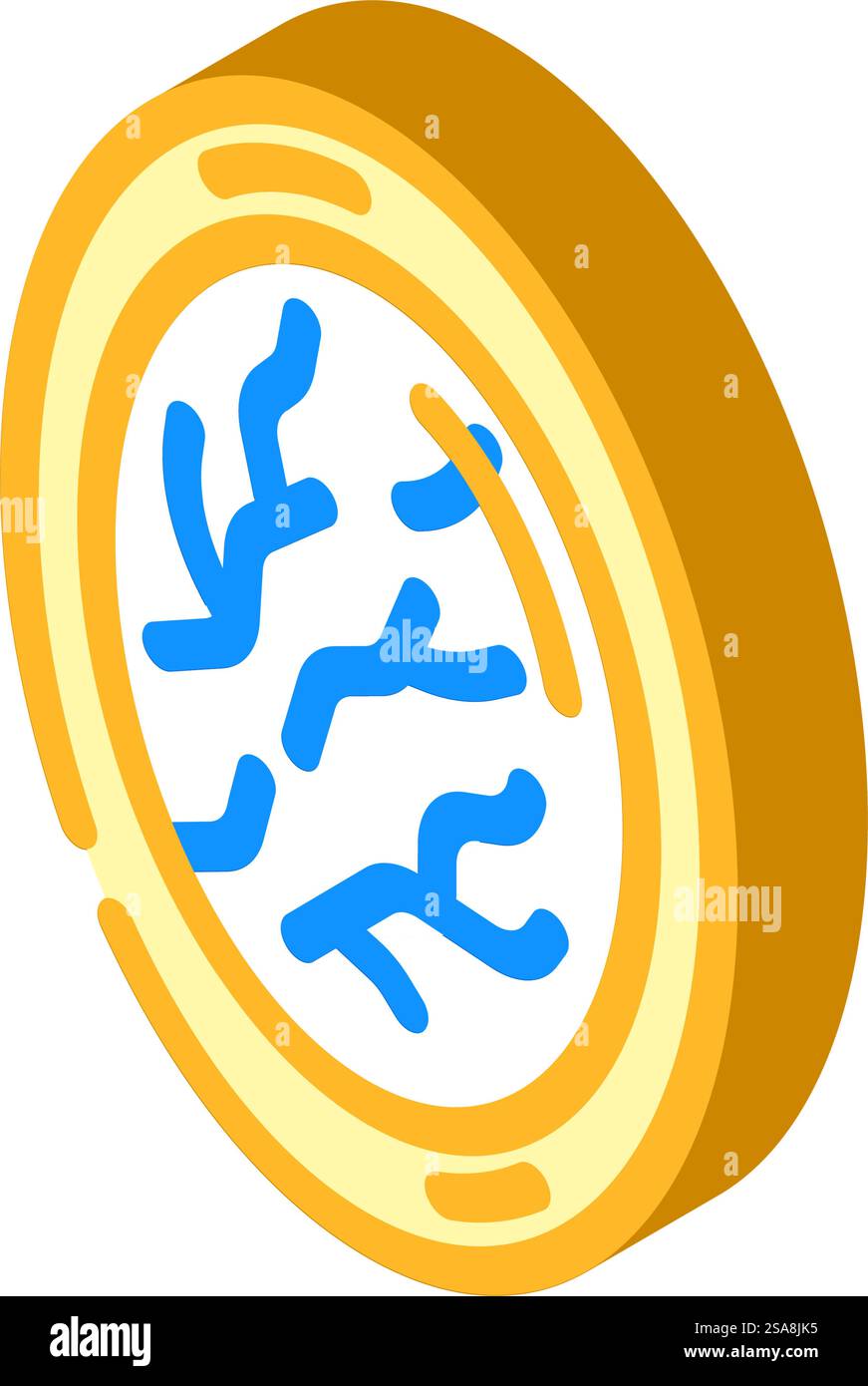 worry stones fidget toy isometric icon vector. worry stones fidget toy ...