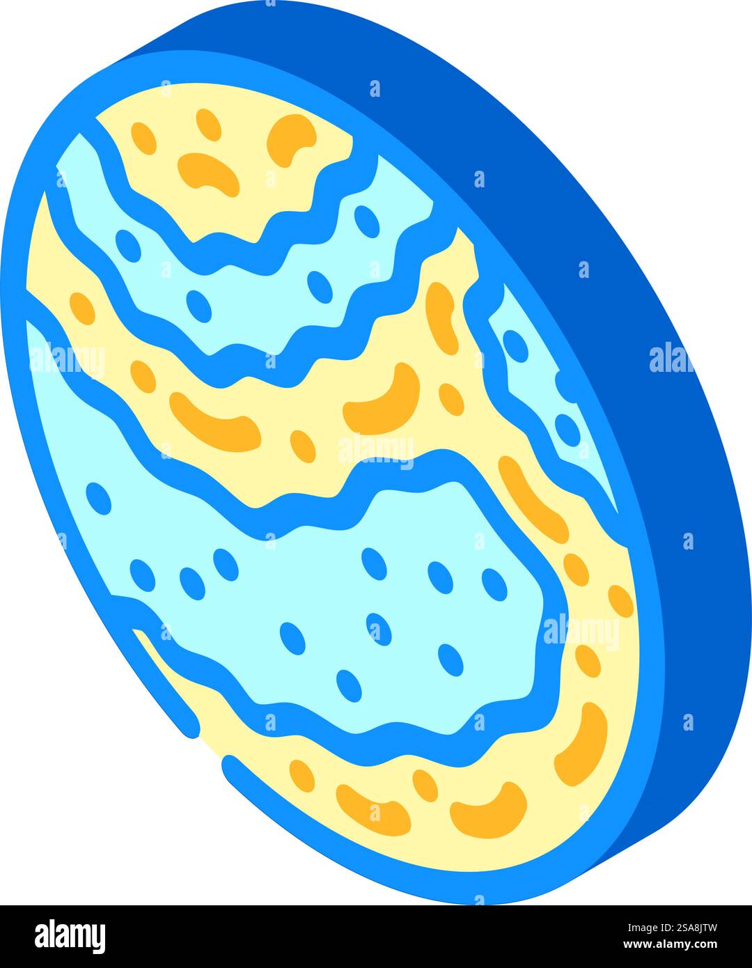 bouncy ball fidget toy isometric icon vector. bouncy ball fidget toy ...