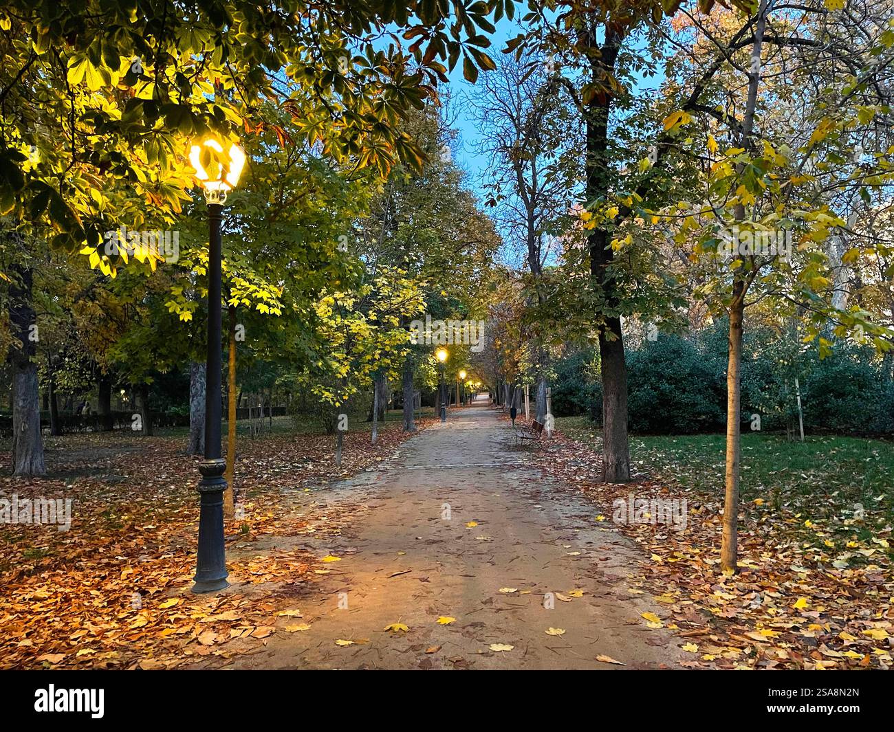 El Retiro park, night view. Madrid, Spain Stock Photo - Alamy