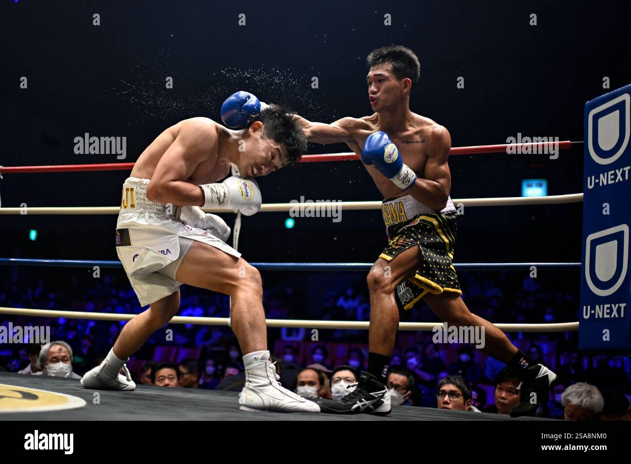 Champion Kenji Fujita (withe gloves) of Japan and challenger Michael ...