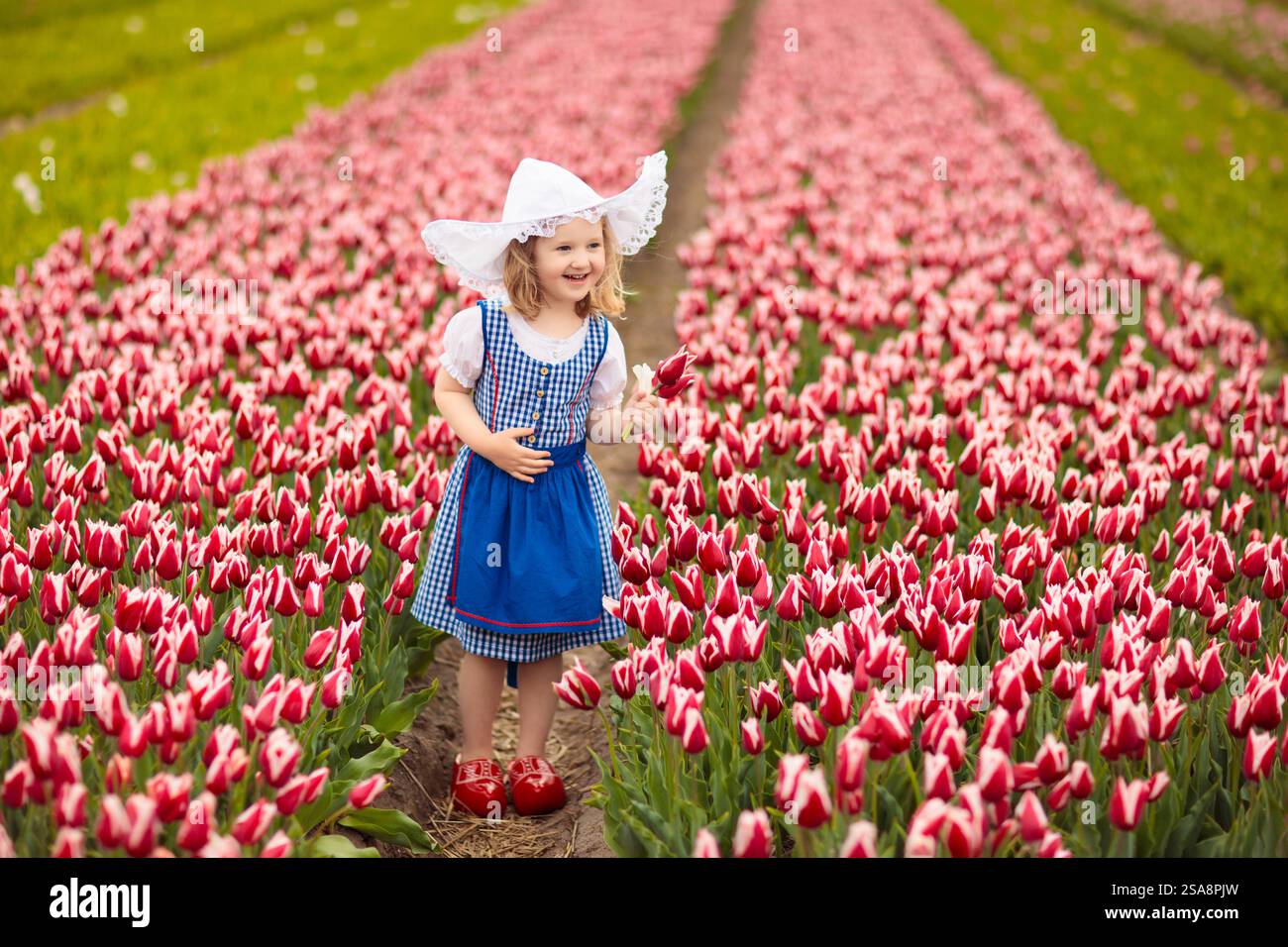 Happy Dutch children playing in blooming tulip flowers field. Boy and ...