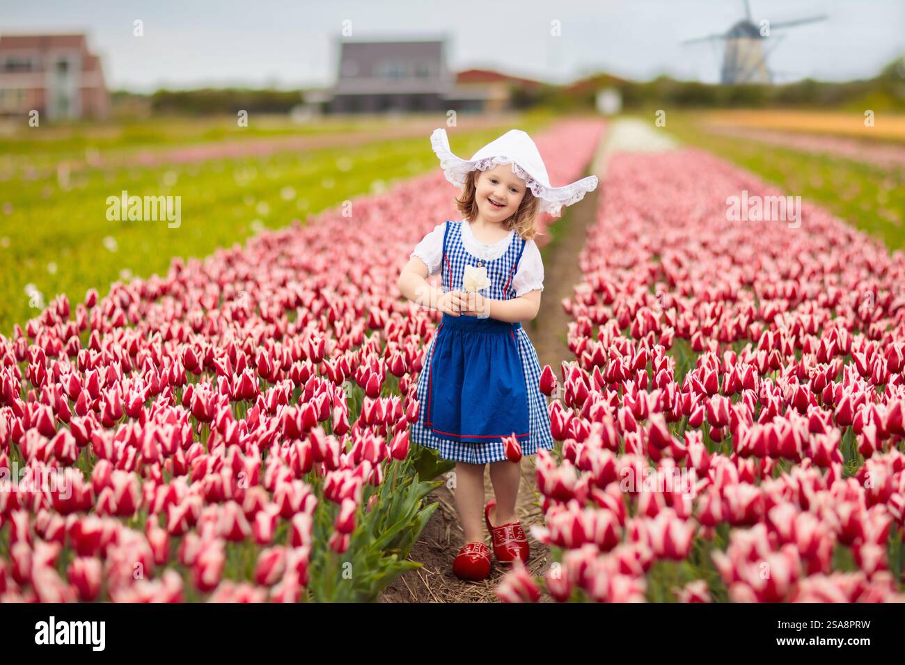 Happy Dutch children playing in blooming tulip flowers field. Boy and ...