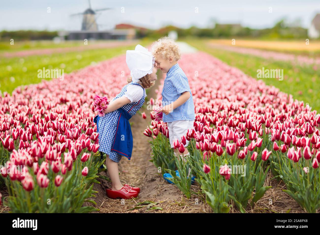 Happy Dutch children playing in blooming tulip flowers field. Boy and ...