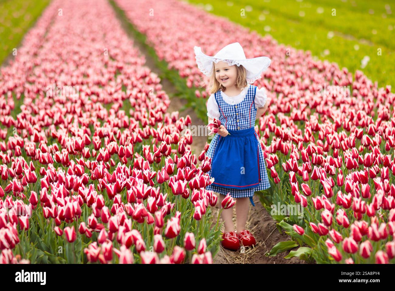 Happy Dutch children playing in blooming tulip flowers field. Boy and ...