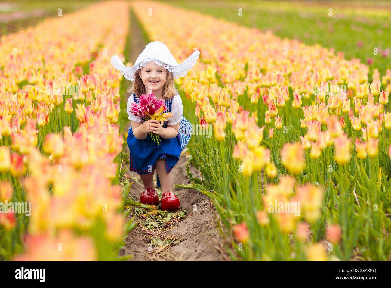 Happy Dutch children playing in blooming tulip flowers field. Boy and ...