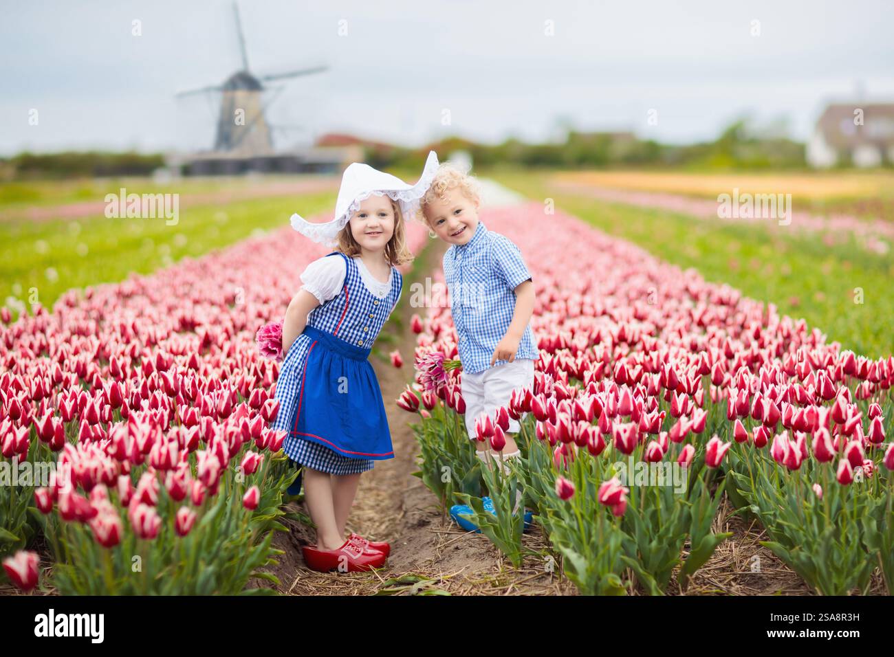 Happy Dutch children playing in blooming tulip flowers field. Boy and ...