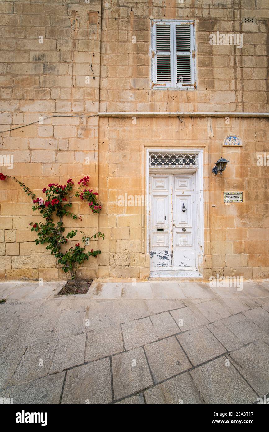 Traditional house detail in Malta. Limestone yellow bricks and colorful ...