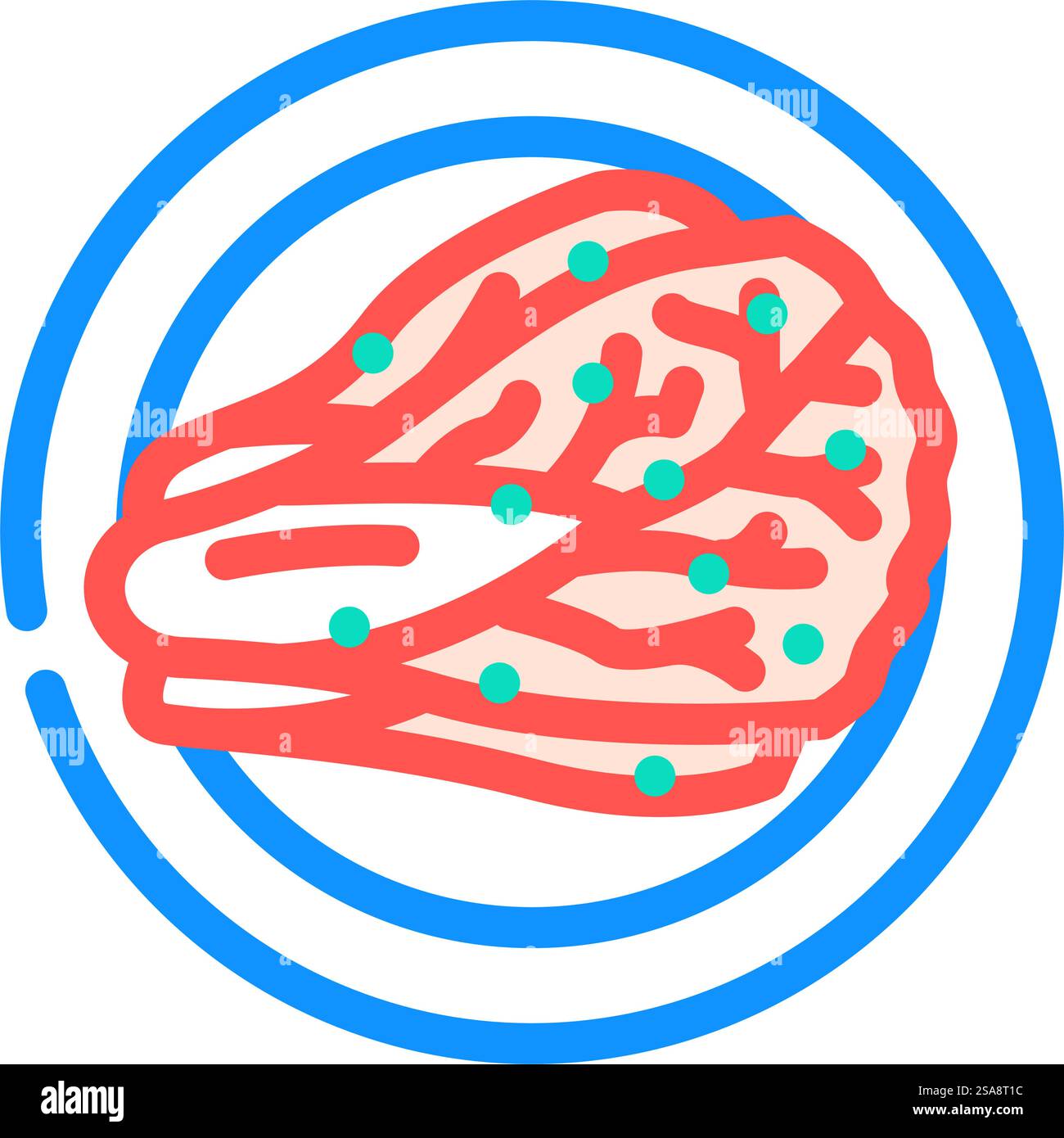 kimchi cabbage korean cuisine color icon vector. kimchi cabbage korean ...