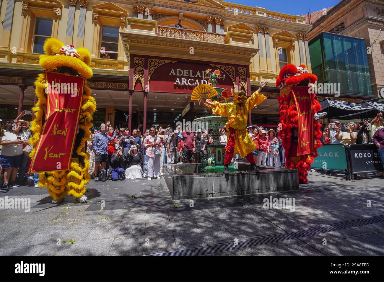 Adelaide, Australia 29 January 2025. Crowds are entertained by lion ...