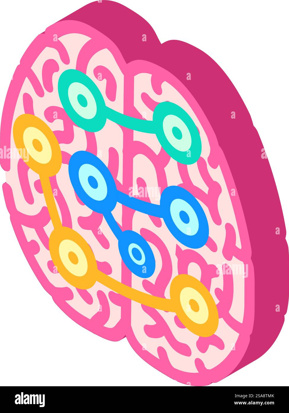 neural connectivity neuroscience neurology isometric icon vector ...