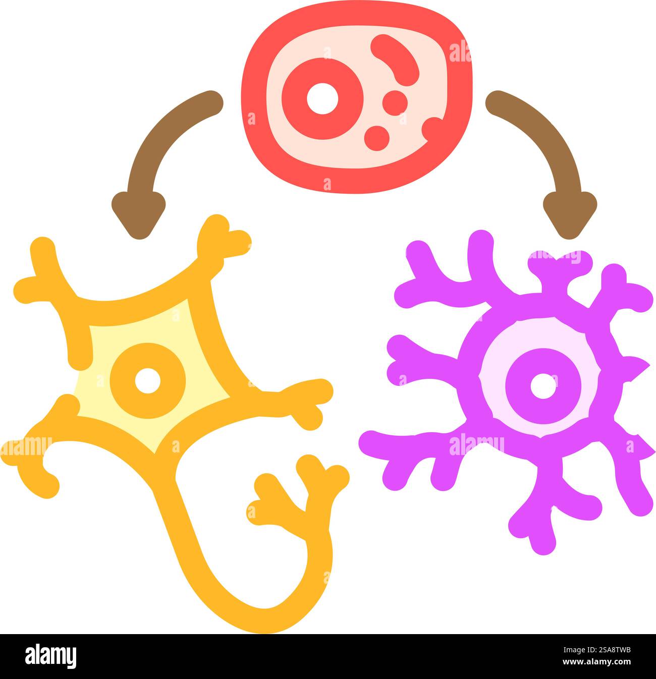 neurogenesis neuroscience neurology color icon vector. neurogenesis ...