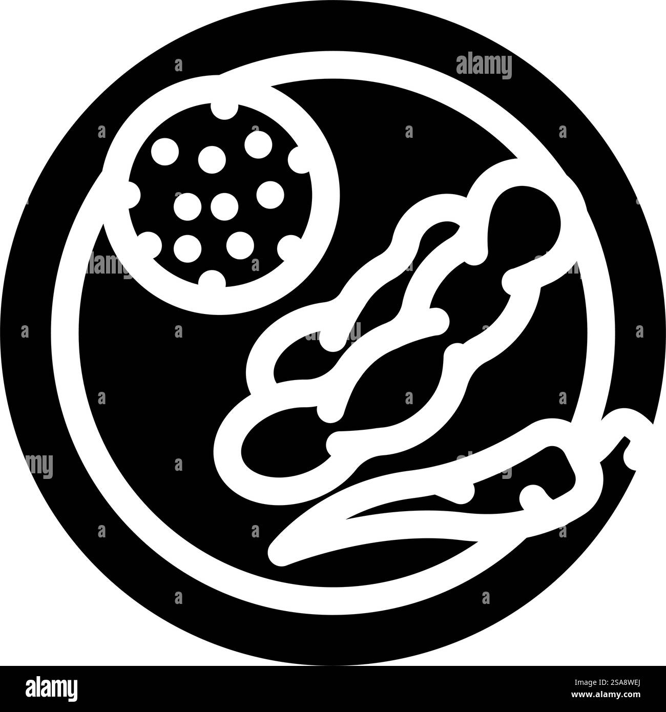 tamarind sauce thai cuisine glyph icon vector. tamarind sauce thai ...