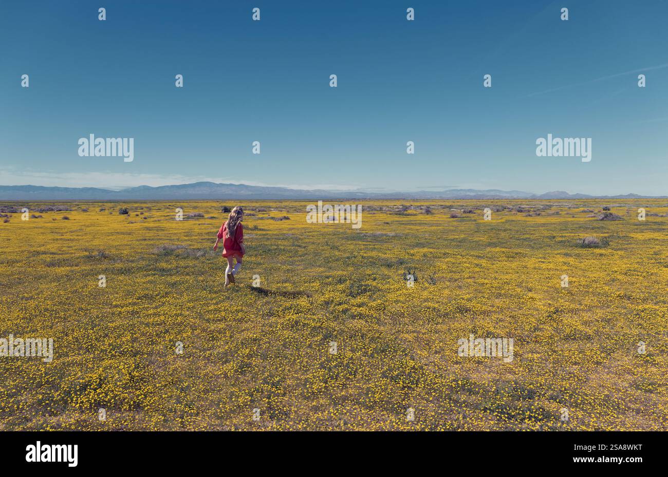 Girl walking in poppy flower field Stock Photo - Alamy